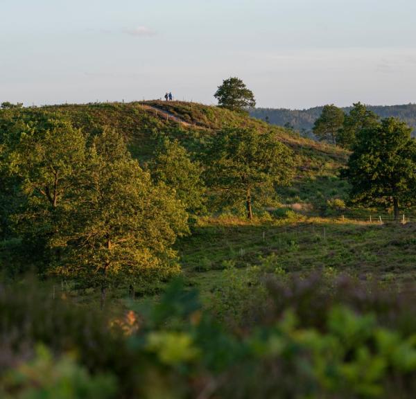 Danmarks Smukkeste | Balancen mellem det skønne og storslåede | Natur ...